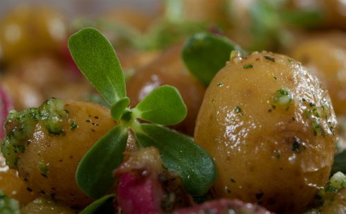 Pecheni yabalki recipe – Recipe